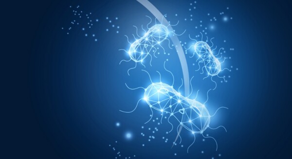 Postbiotika: Definition und Wirkung auf die Darmgesundheit